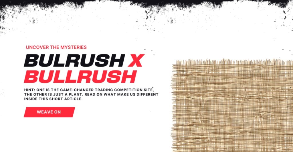 Trading-Competition-The-evolution-of-BullRush
